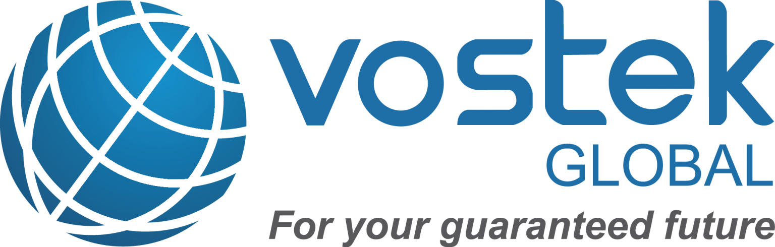 About Us – Vostek Global